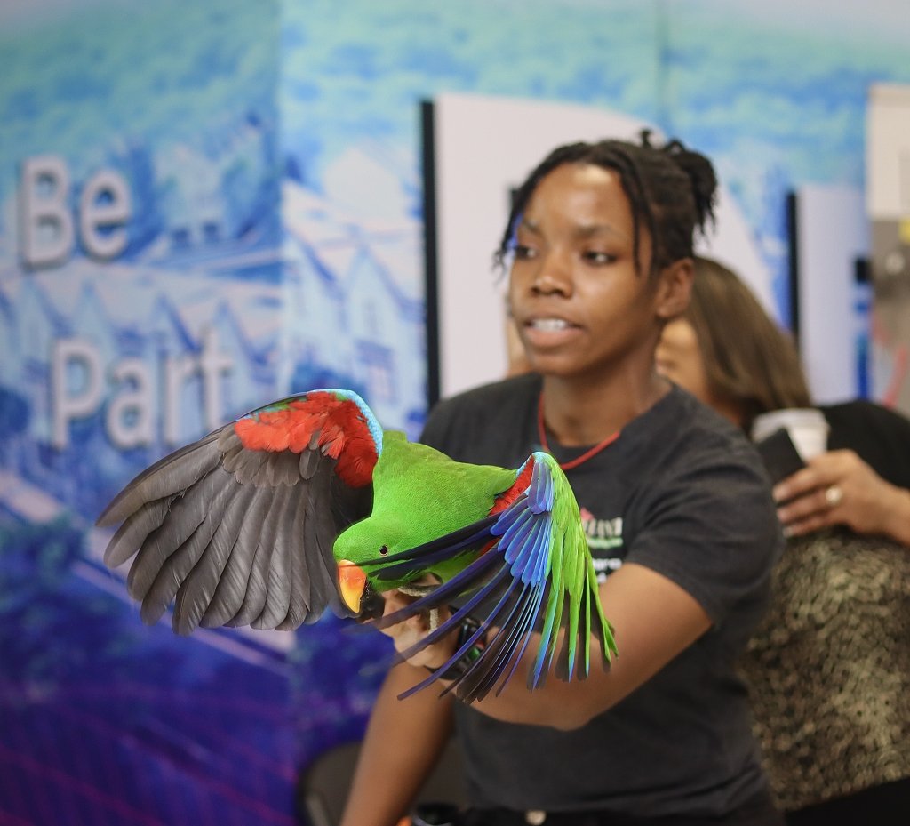 Meet the April Hey Helen Grant Winner Who is Bringing Wildlife and STEM ...
